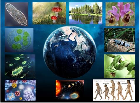 Caracter Sticas De Las Ciencias Naturales