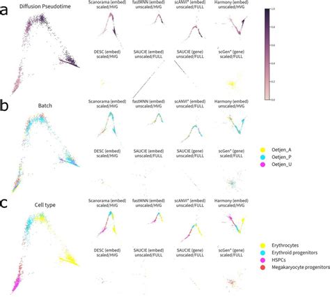 diffusion maps of diffusion pseudotime dpt trajectories on integrated download scientific