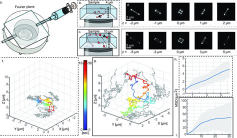 the results of 3d single particle tracking experiments a illustration download scientific