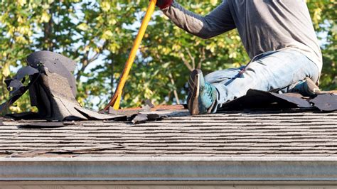 Free Online Roof Replacement Cost Estimator NZ