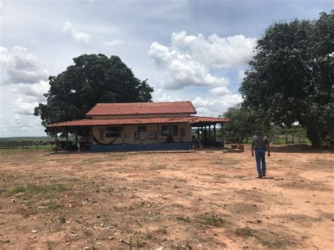 Fazenda A Venda Em Mato Grosso Fazendas Mato Grosso