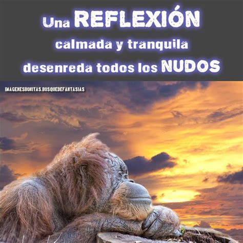 IMÁGENES DE REFLEXIÓN Frases de la vida para pensar