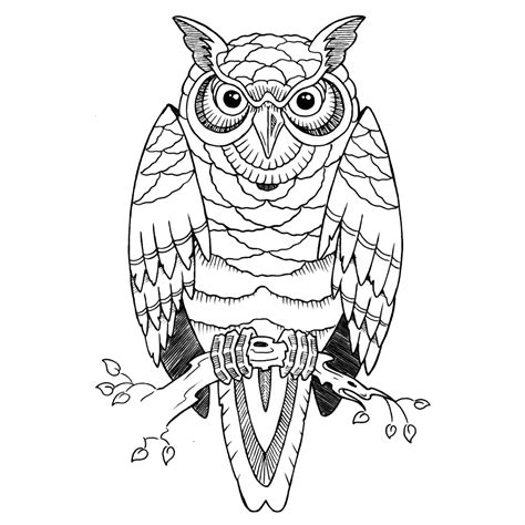 Desenhos Para Colorir Coruja Baixe Imagens Gratuitas Afolhadeborborema