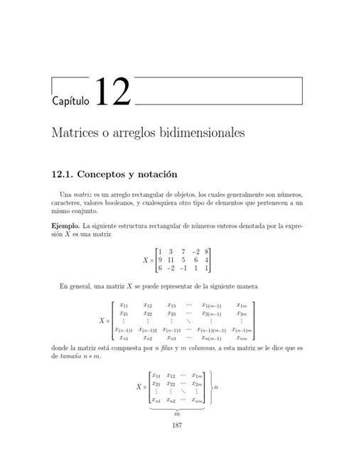 libro programacion cap12 matrices pdf matriz matemáticas estructura de datos de matriz