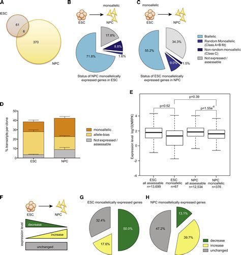Random Monoallelic Gene Expression Increases Upon Embryonic Stem Cell