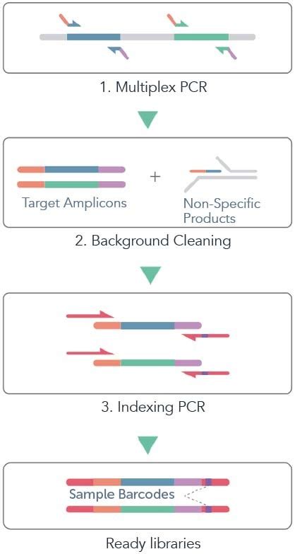 amplicon sequencing solution for targeted amplicon sequencing