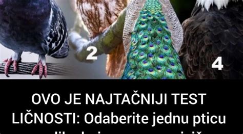 OVO JE NAJTAČNIJI TEST LIČNOSTI Odaberite Jednu Pticu Sa Slike Koja