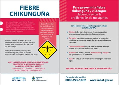 Fiebre Chikungunya Y Dengue Ministerio De Salud P Blica De Tucum N