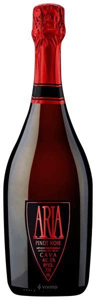 N V Segura Viudas Aria Cava Pinot Noir Brut Vivino Italia