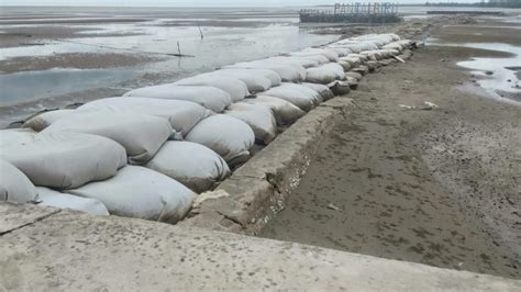 Geobeg Sebagai Solusi Sementara Atasi Abrasi Pesisir Pantai Kersik