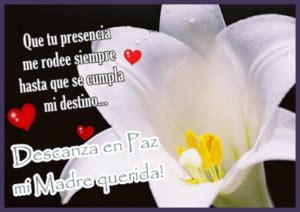 Imágenes de luto con frases para mama