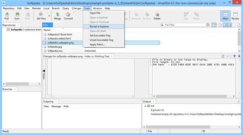 download portable smartgit 20 1 4 20 2 preview 4