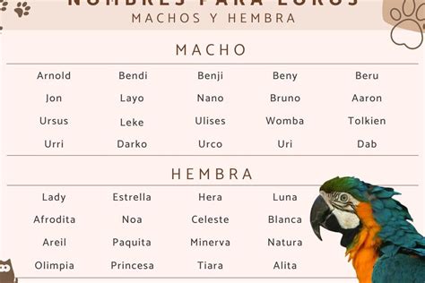 26 Divertidos Apodos Para Amigos Uri Descubre Los Mejores
