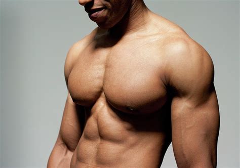 Male Torso Photograph By Ian Hooton Science Photo Library Pixels