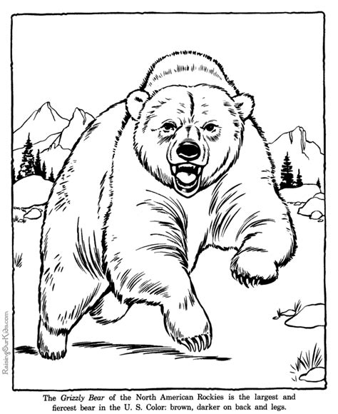 Coloriage Ours Animaux Dessin Colorier Coloriages