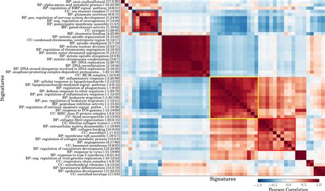 GO PCA An Unsupervised Method To Explore Gene Expression Data Using