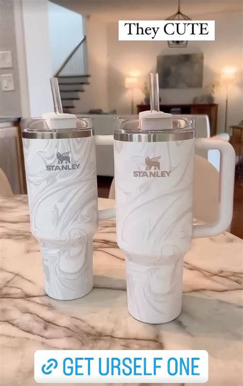 What Stores Sell Stanley Tumblers Outlet Cdlguaiba Br