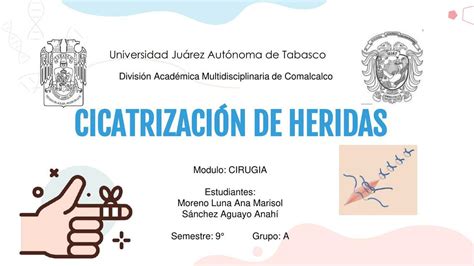 Cicatrización de heridas Anahi Sanchez uDocz