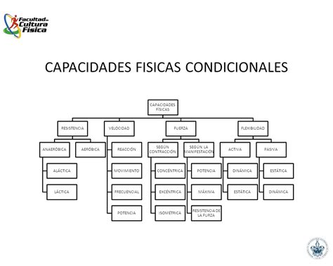 Cultura Física Capacidades Físicas Condicionales