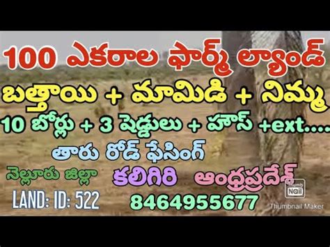 Acres Of Farm Land For Sale Nellore Dt Kaligiri Ap Ph No