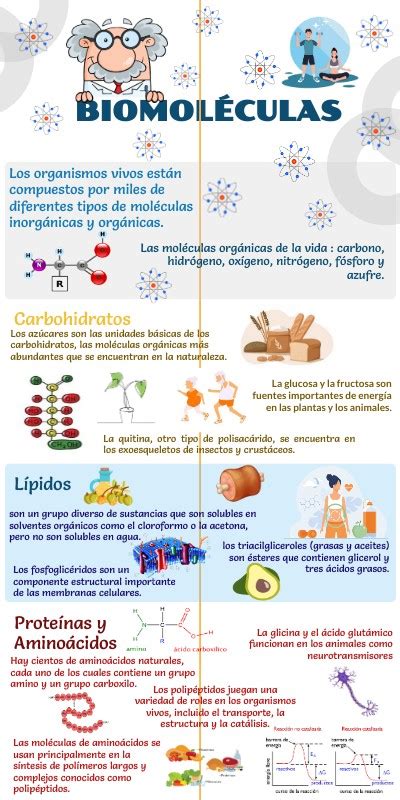 INFOGRAFÍA BIOLOGÍA E