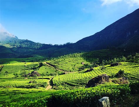 Munnar Hill Station Best Place To Visit During Monsoon Season