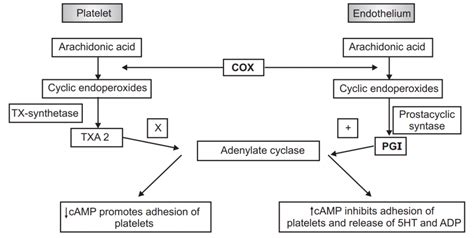Antiplatelet Anticoagulant Off