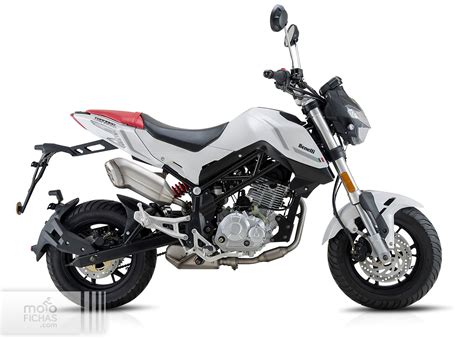Comparativa Benelli Tornado Naked TNT 125 2018 2020 Honda MSX125 2017