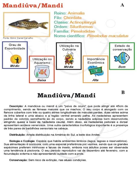 Fertilização Externa