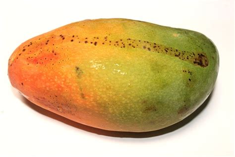 Czy mogę zasadzić mango z pestki w domu Lastminutefoto