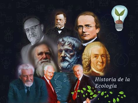 historia de la ecología rompecabezas en línea