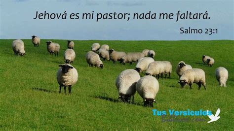 Salmos 23 Jehová es mi pastor Tus Versículos Biblicos