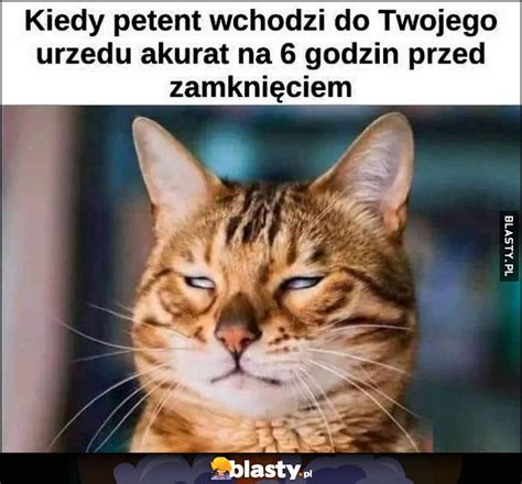 Kiedy petent wchodzi do Twojego urzędu akurat na 6 godzin przed