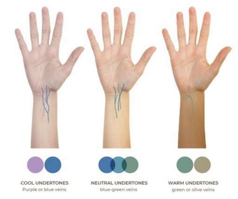 EL PODER DE LA COLORIMETRÍA By Vane Rinkel