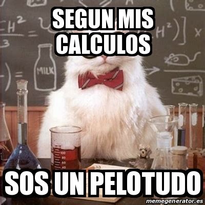 Meme Chemistry Cat Segun Mis Calculos Sos Un Pelotudo