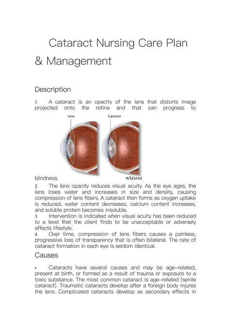 SOLUTION Cataract Nursing Care Plan Management Studypool