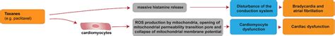 Frontiers Cardiotoxicity Of Anticancer Drugs Molecular Mechanisms