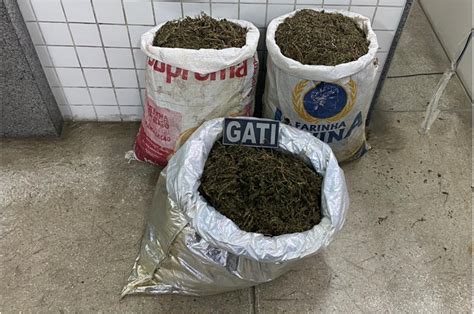 Dois homens são presos suspeitos de tráfico de drogas no Sertão do