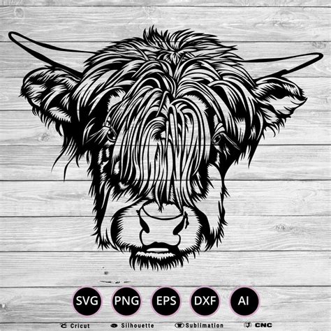 Highland Cow SVG PNG EPS DXF AI Arts Vector