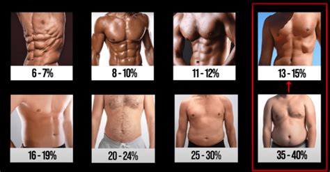 How To Go From To Body Fat In Steps Boxrox