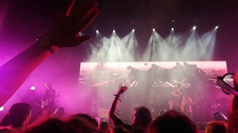 The National Pink Rabbits Campo Pequeno Lisboa Youtube