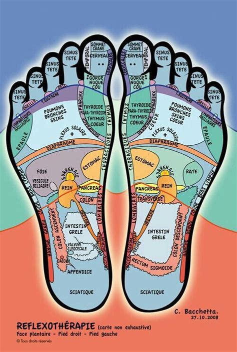 Techniques De Réflexologie Plantaire