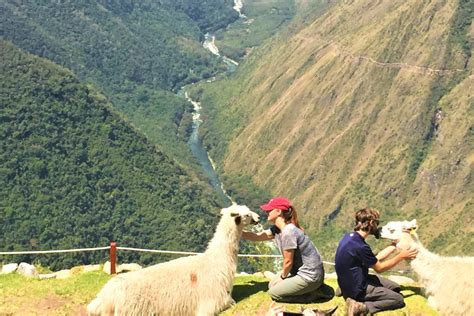 Cuzco Caminata de 4 días por el Camino Inca de Machu Picchu y Tren