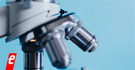 Os 5 grandes passos da biologia na área de citologia Guia do Estudante