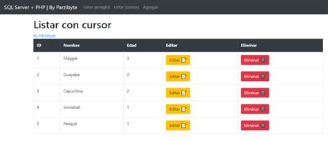 Conectar Php Y Sql Server Usando Pdo Crud De Ejemplo Parzibyte S Blog