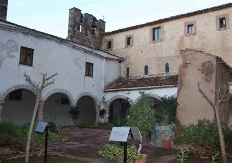 Inaugurato Il Giardino Di San Benedetto Il Moro La Repubblica