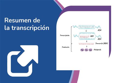 Transcripción y traducción en la genética Alianza B UNAM CCH ENP