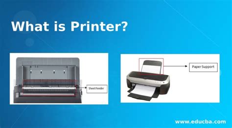 What Is Printer Top Parts Of Printer And Their Uses You Should Know