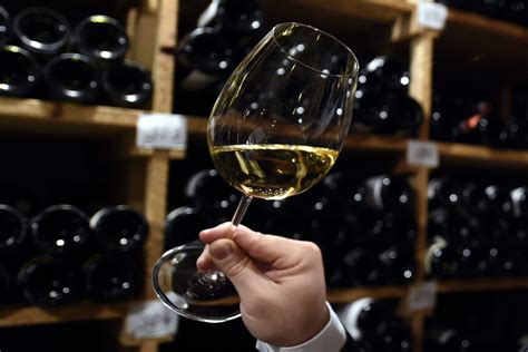 Tout Ce Qu Il Faut Savoir Sur Les Foires Aux Vins Moustique