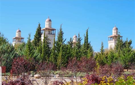 طقس حار بوجه عام اليوم وغدا وارتفاع الحرارة الثلاثاء
